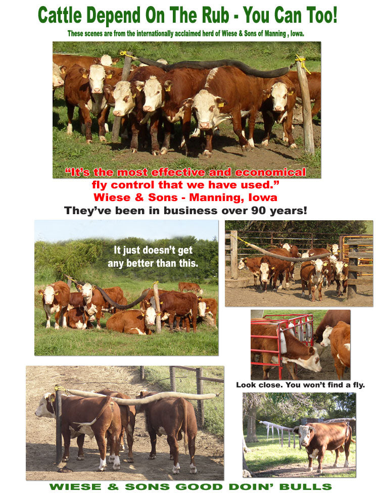P H White Cow Life Cattle Rub Feeders & Plans - Winchester, KY ...